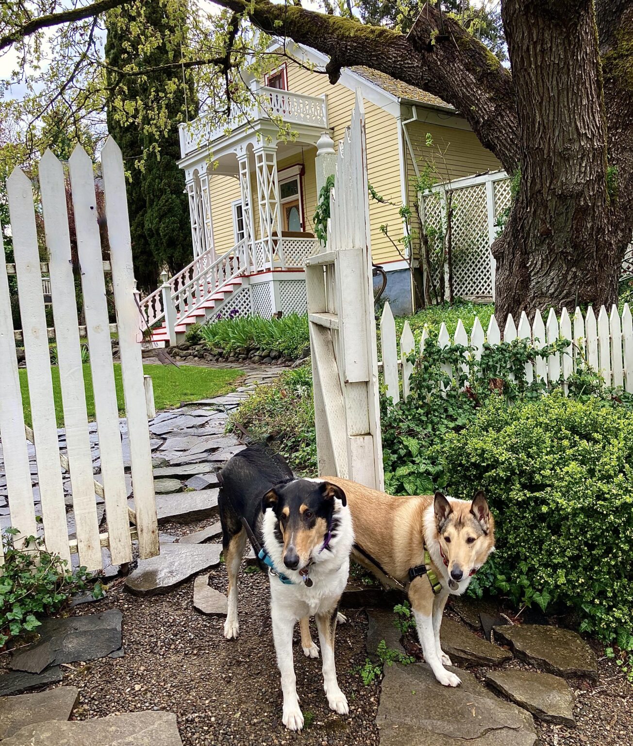 Ariel and Caliban | Historic Jacksonville, Inc.